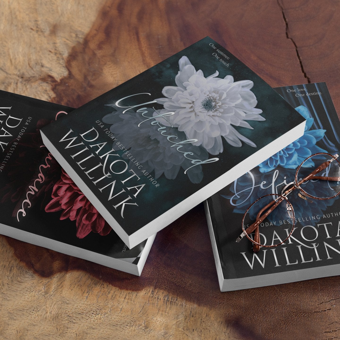 Fade Into You Series – Dakota Willink