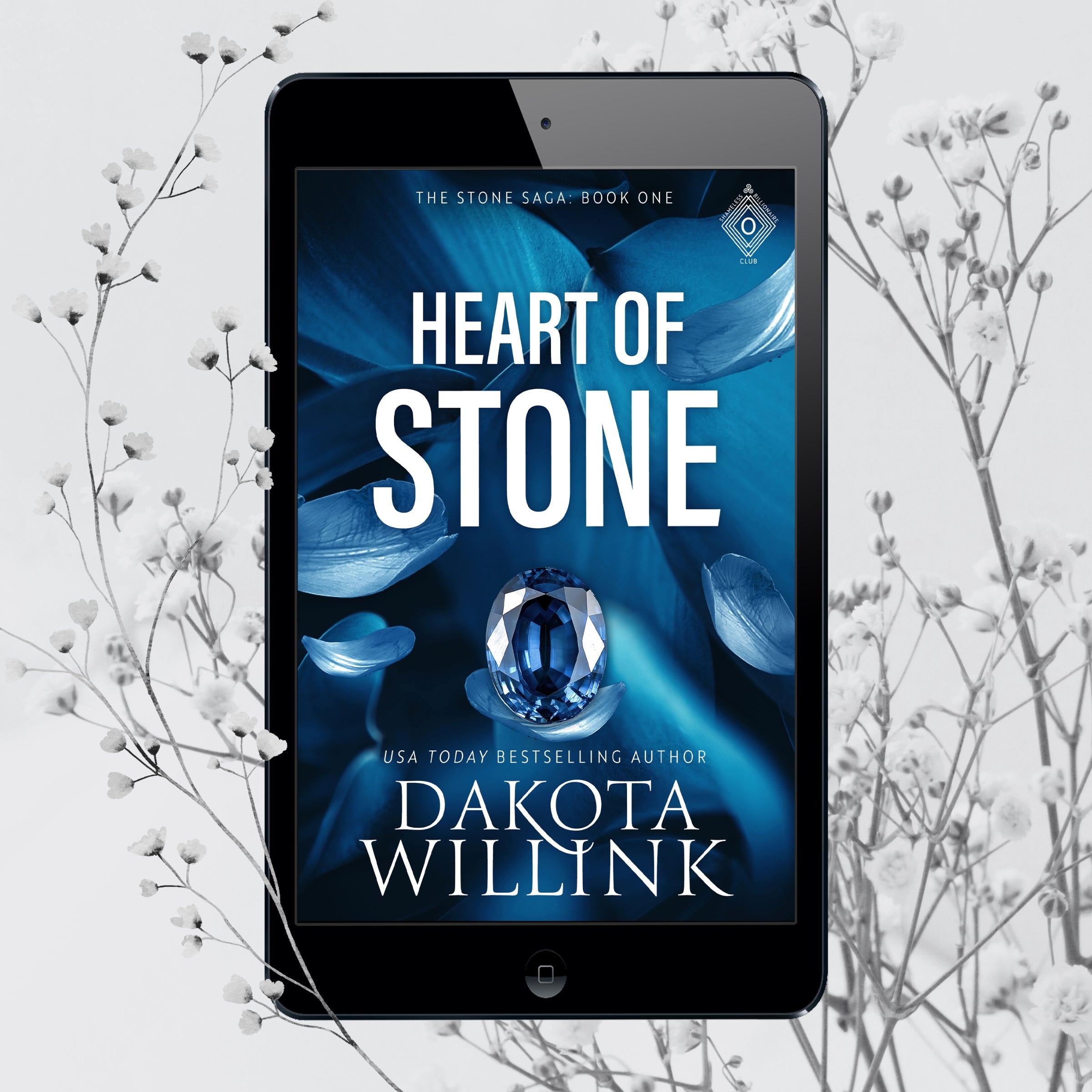 Heart of Stone (eBook) – Dakota Willink