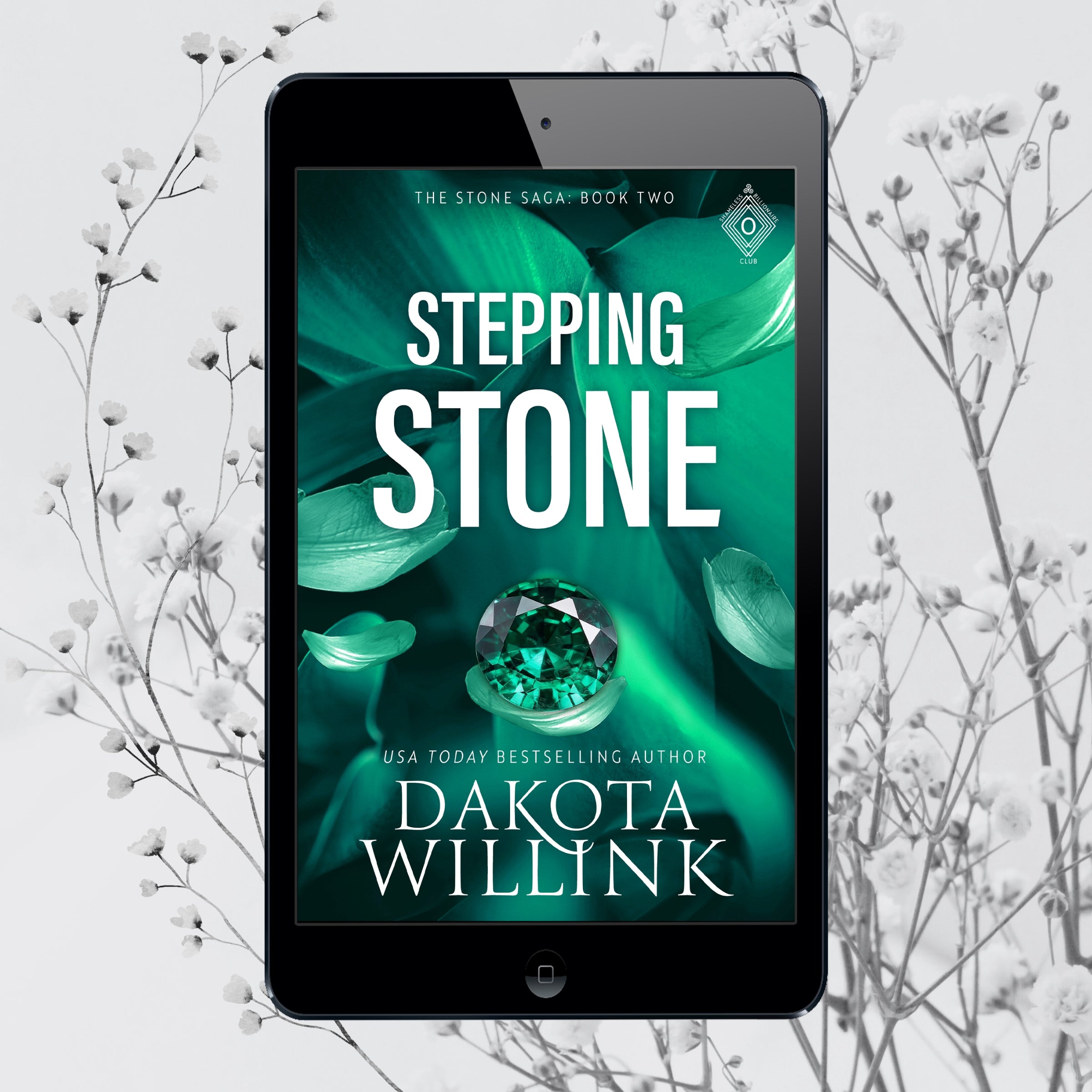 Stepping Stone (eBook) – Dakota Willink