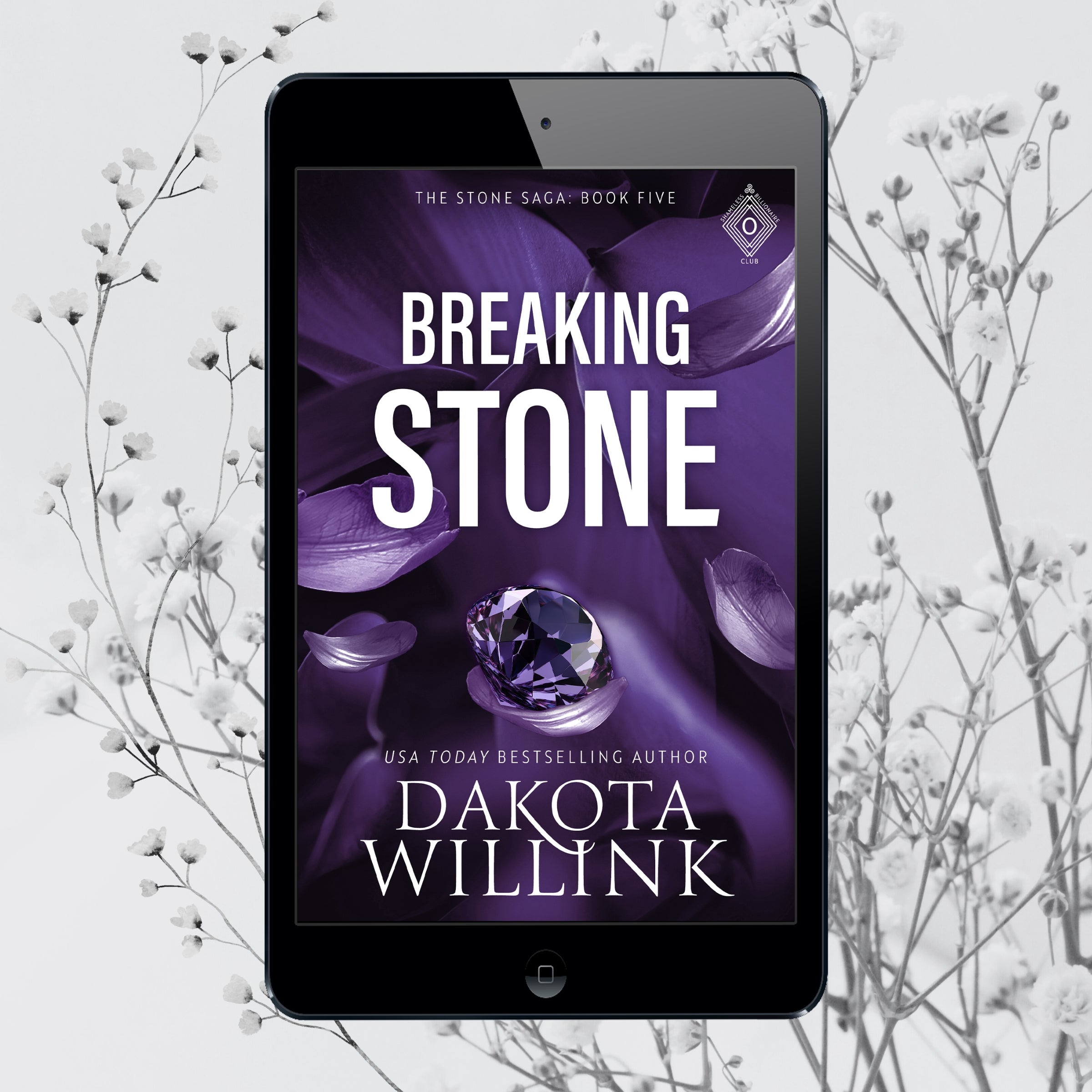 Breaking Stone (eBook) – Dakota Willink